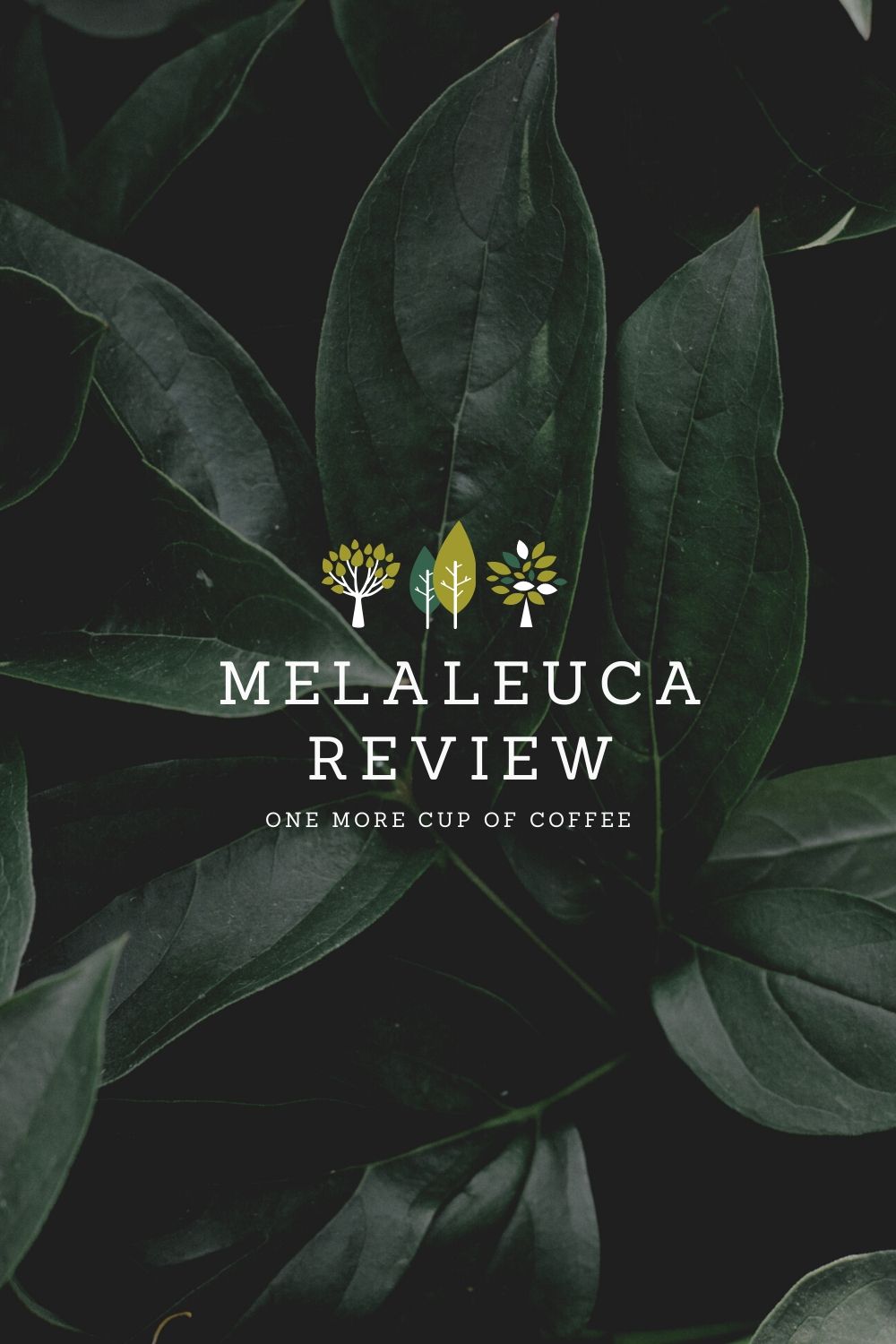 Melaleuca Review: Yeah, It's Actually MLM, Guys | One More Cup of Coffee