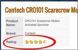 How To Write A Product Review That Converts To Sales | One More Cup of ...