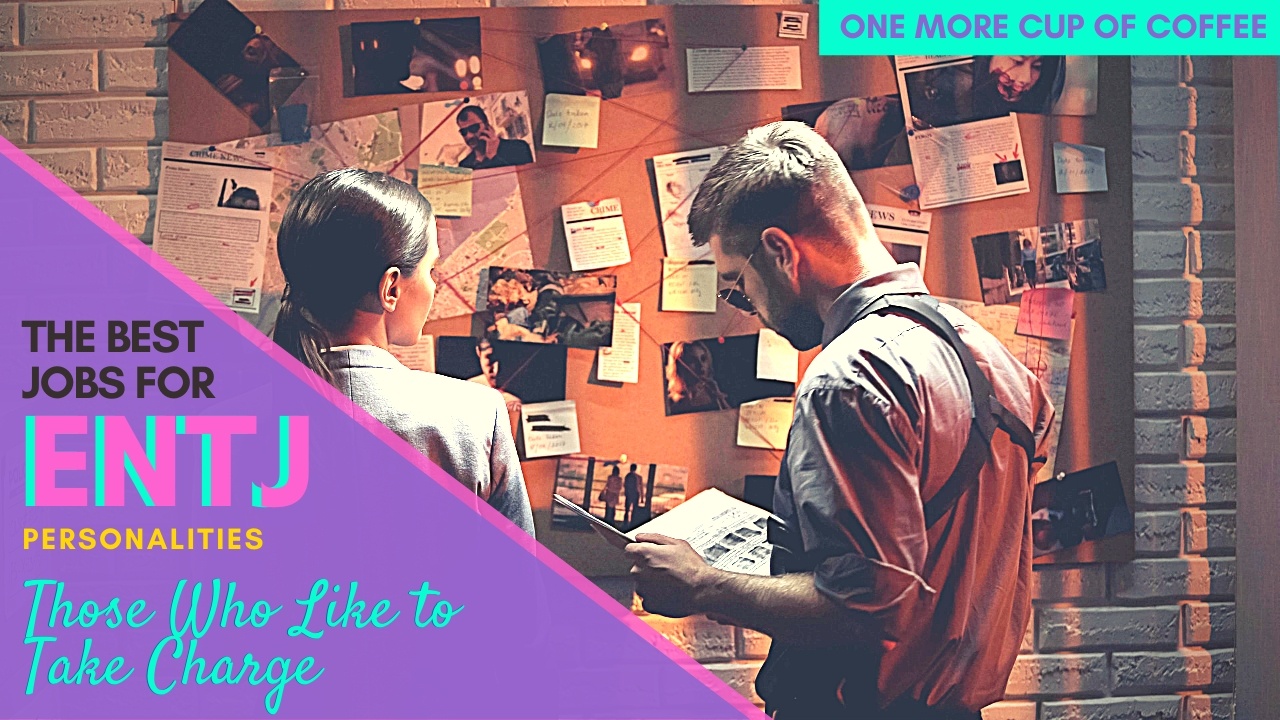 Best Jobs for the ENTJ Personality: Those Who Like to Take Charge | One ...