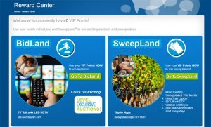 Can You Really Make Money With The VIP Voice Survey Website? | One More ...