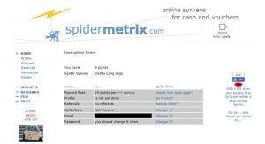 Can You Really Make Money With The SpiderMetrix Survey Website? | One ...