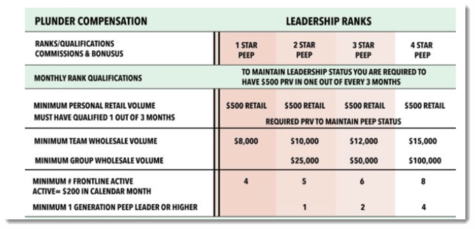 Can You Really Make Money With Plunder Design?