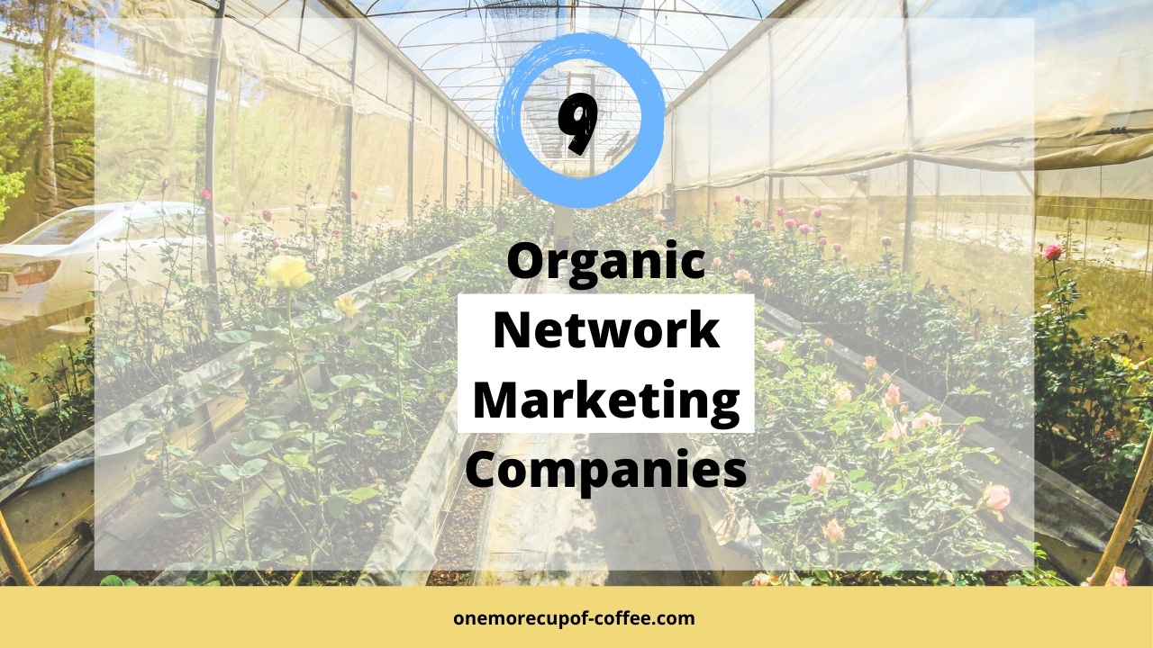 9 Organic or Clean Network Marketing Companies For Anyone ...