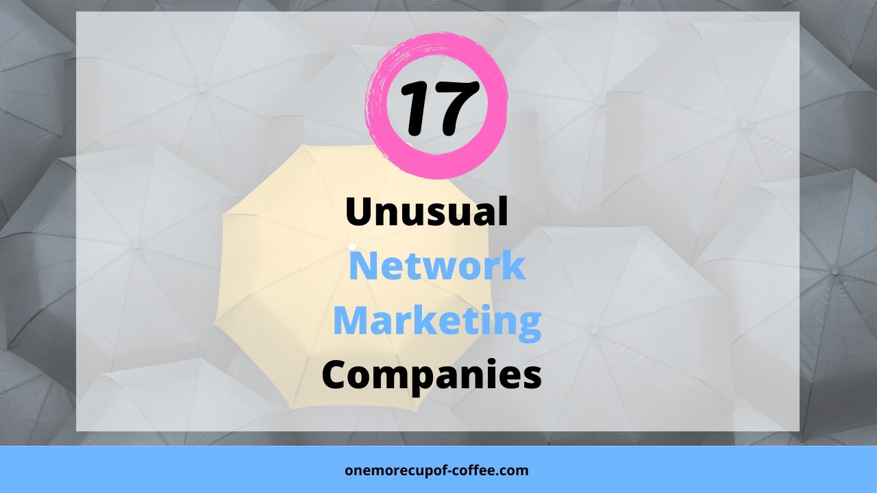 17 Unusual Network Marketing Companies That Think Outside Of The Box ...