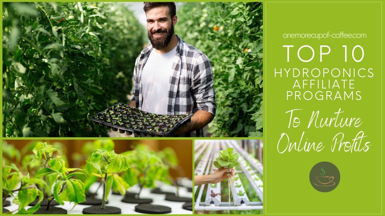 Top 10 Hydroponics Affiliate Programs To Nurture Online Profits | One More Cup of Coffee