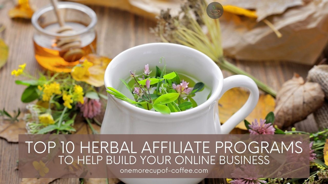Top 10 Herbal Affiliate Programs To Help Build Your Online Business ...