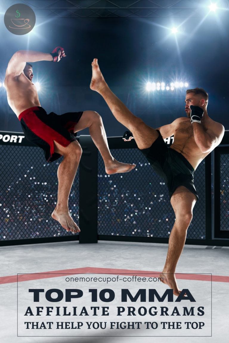 Top 10 MMA Affiliate Programs That Help You Fight To The Top | One More ...