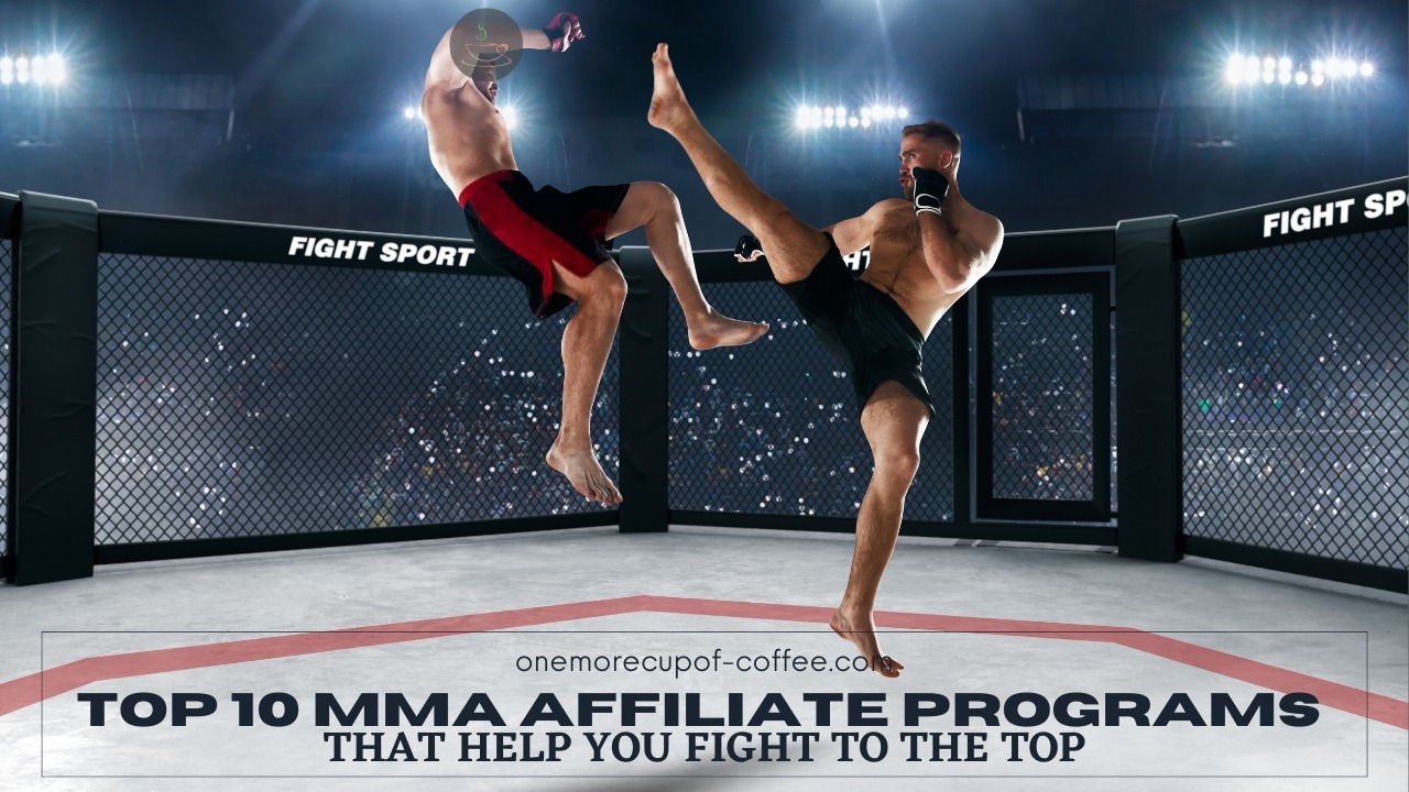 Top 10 MMA Affiliate Programs That Help You Fight To The Top | One More ...