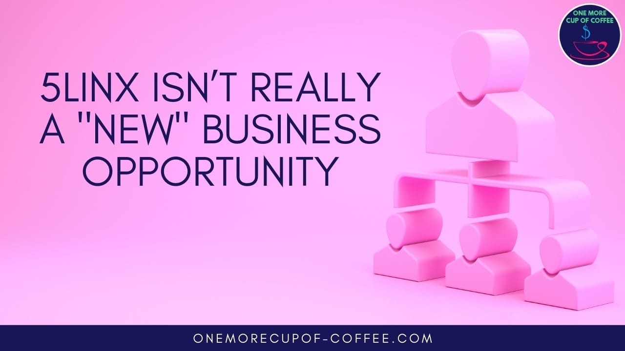 5LINX Isn’t Really A Business Opportunity | One More Cup of Coffee