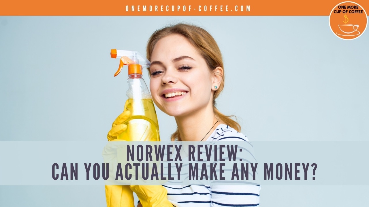 Norwex Review: Can You Actually Make Any Money? | One More Cup of Coffee