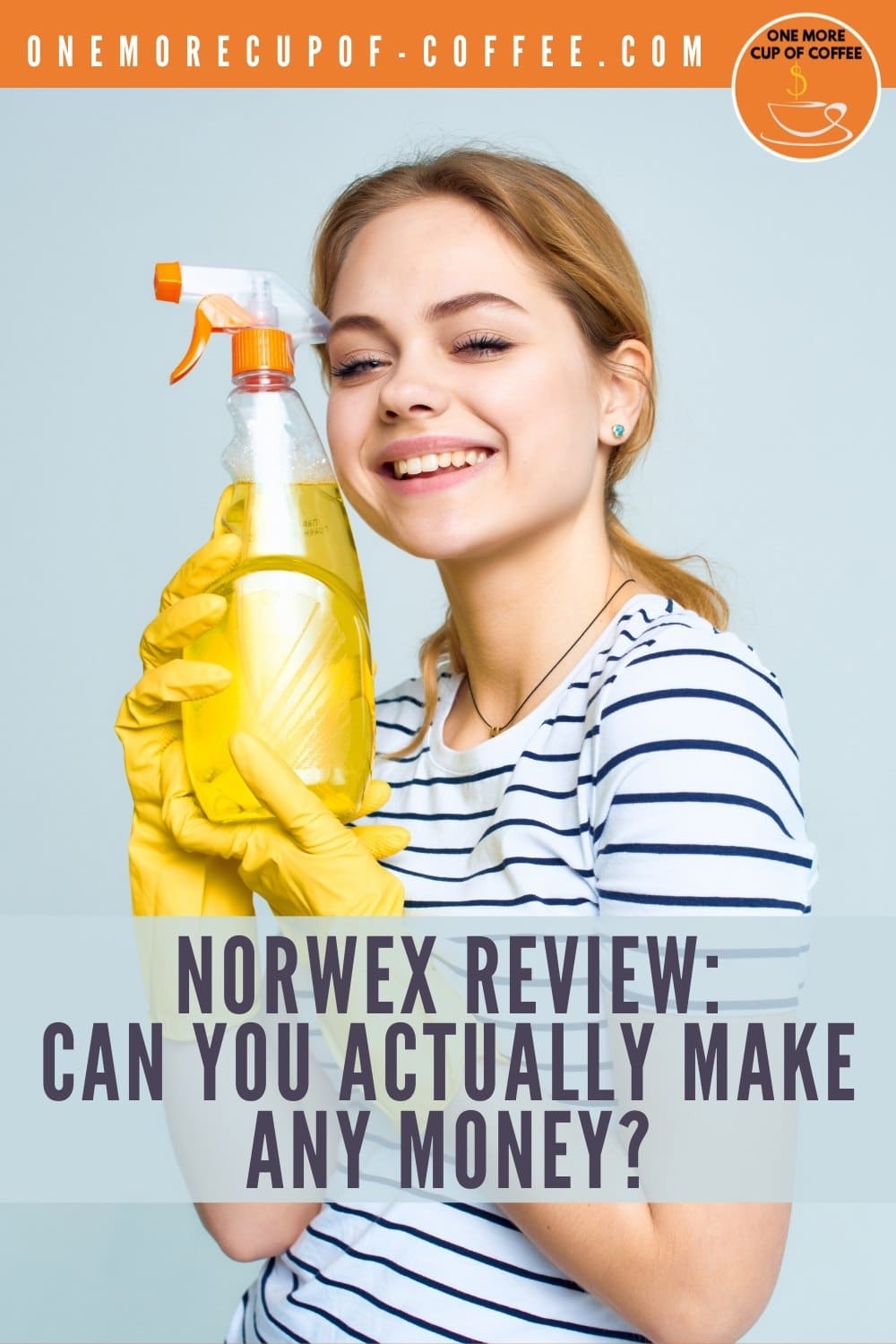Norwex Review: Can You Actually Make Any Money? | One More Cup of Coffee