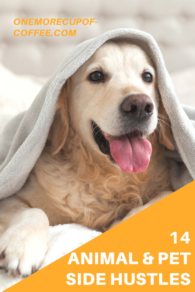 14 Animal & Pet Side Hustles That Bring Your Love Of Animals To The ...