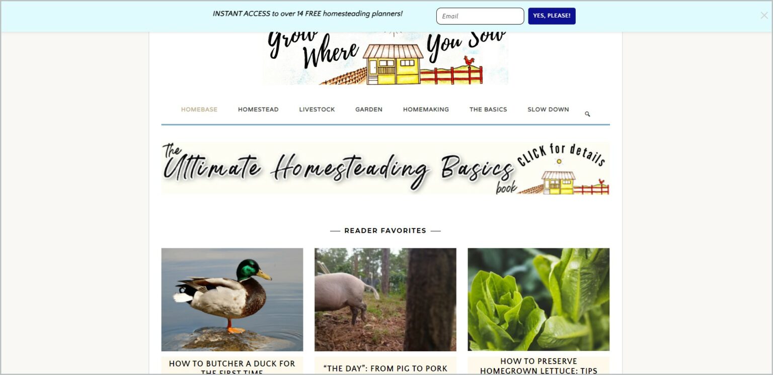 Top 10 Homesteading Affiliate Programs For Homegrown Affiliate Cash ...