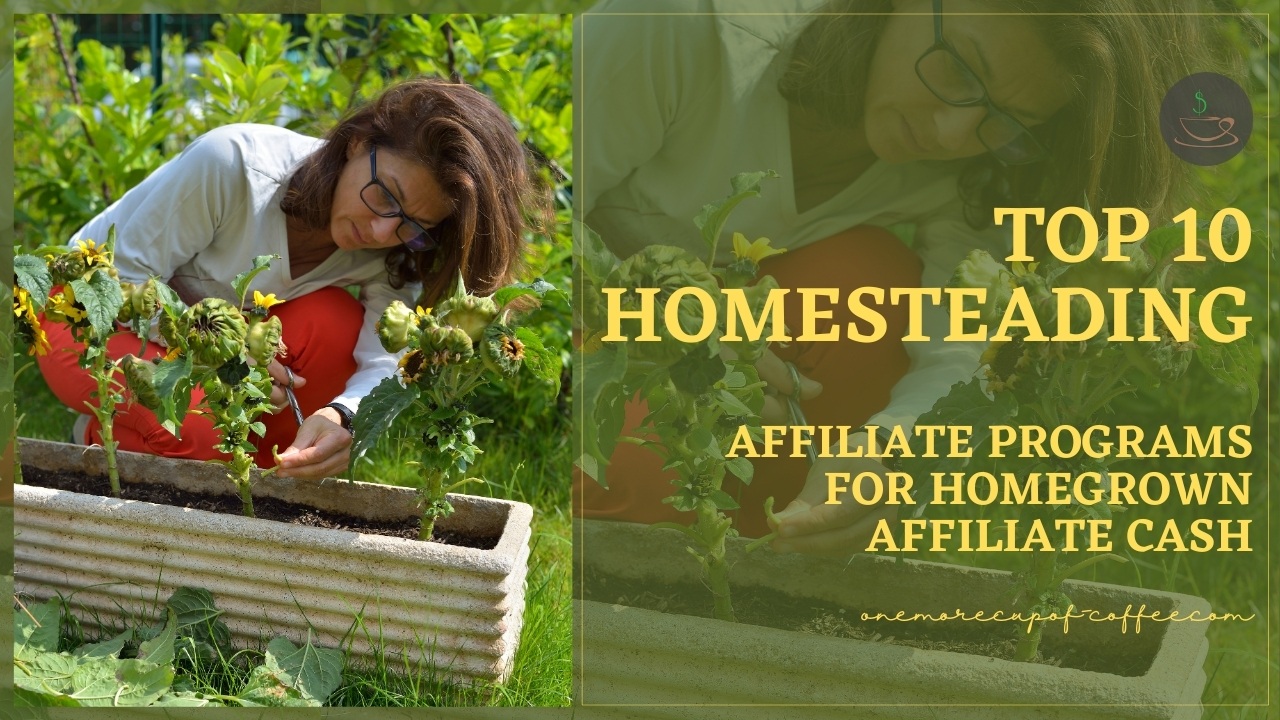 Top 10 Homesteading Affiliate Programs For Homegrown Affiliate Cash ...