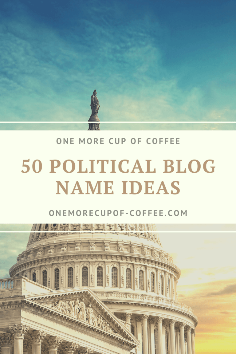 50 Political Blog Name Ideas To Bring Out Your Inner Debater | One More ...
