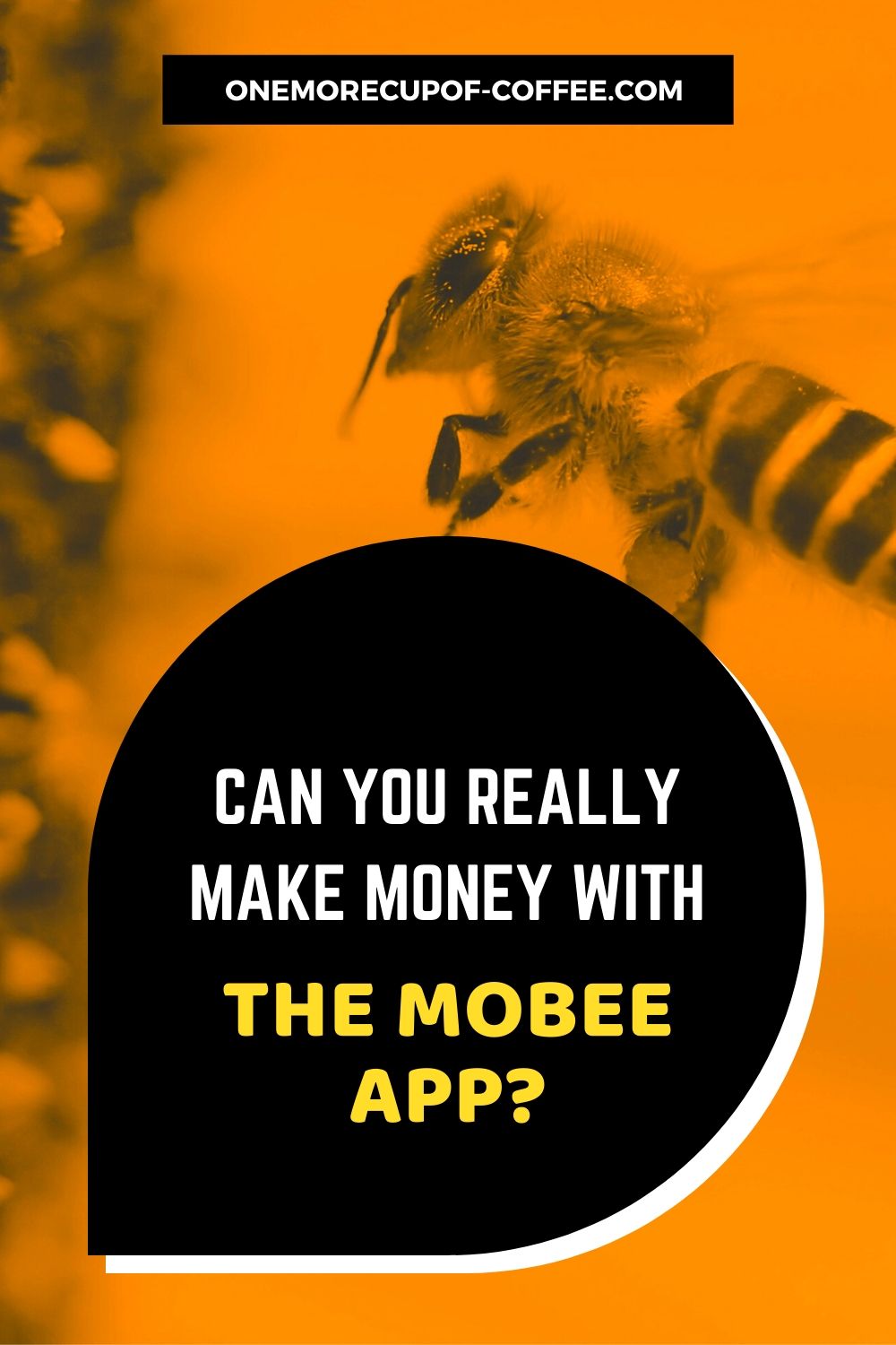 Can You Really Make Money With The Mobee App? | One More Cup of Coffee