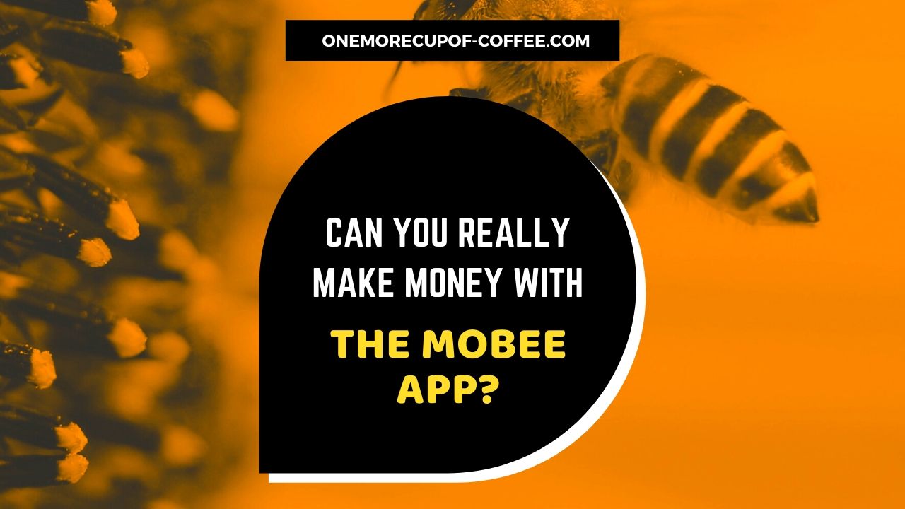 Can You Really Make Money With The Mobee App? | One More Cup of Coffee