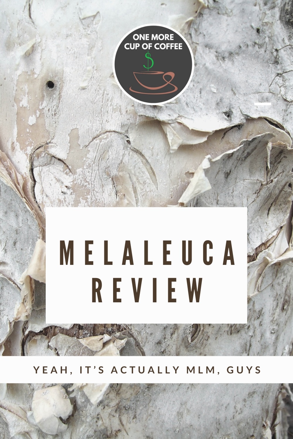 Melaleuca Review: Yeah, It's Actually MLM, Guys | One More Cup of Coffee