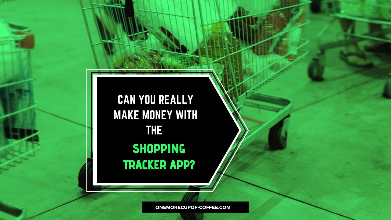 Can You Really Make Money With The Shopping Tracker App? | One More Cup ...