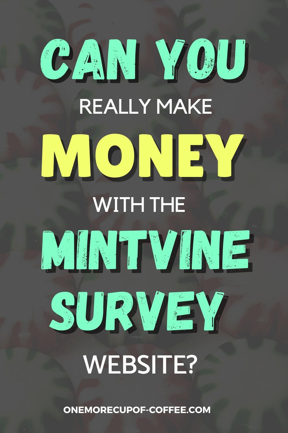 Can You Really Make Money With The MintVine Survey Website? | One More ...
