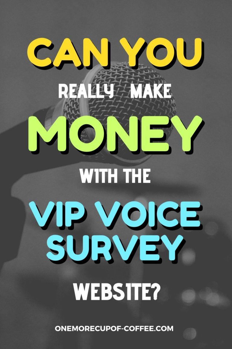 Can You Really Make Money With The VIP Voice Survey Website? | One More ...