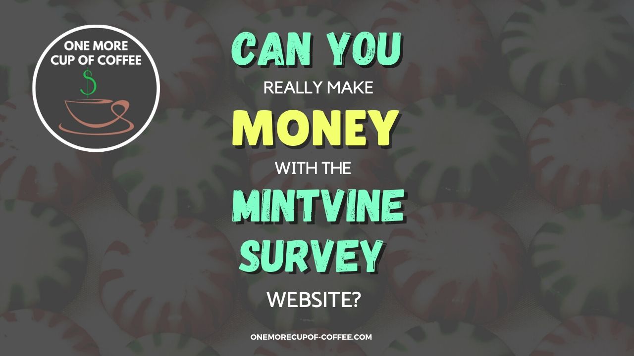Can You Really Make Money With The MintVine Survey Website? | One More ...