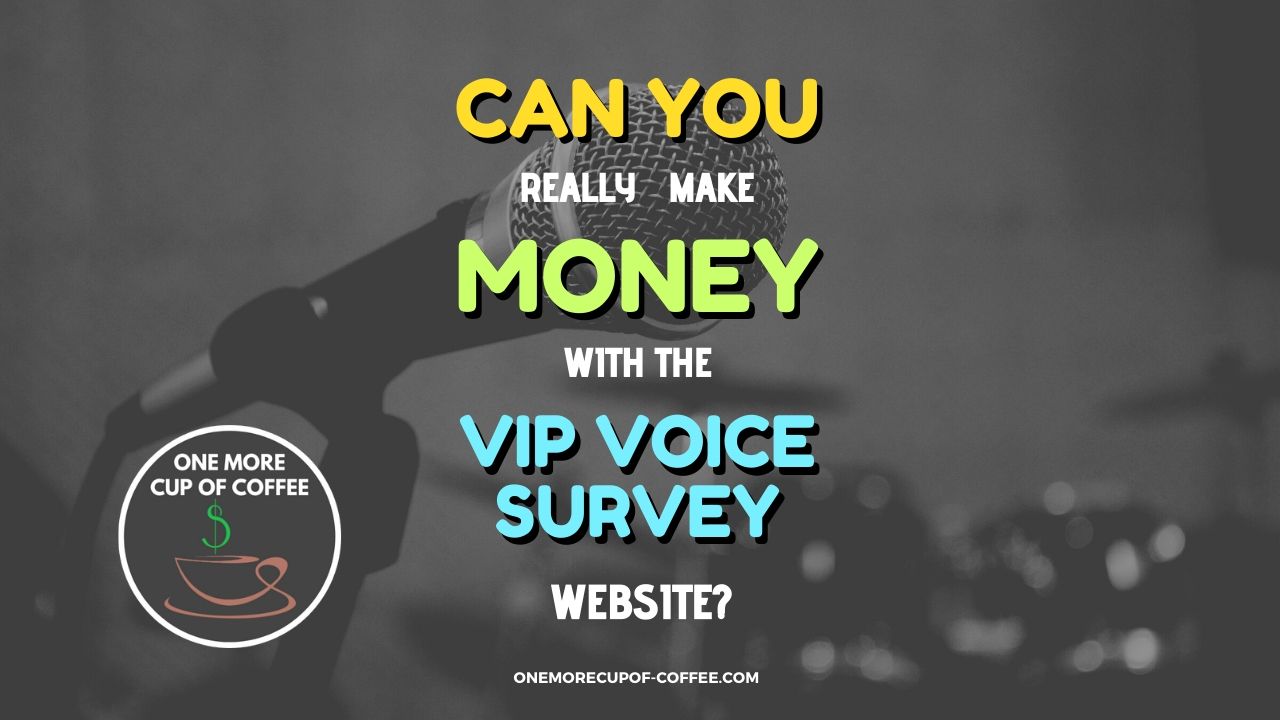 Can You Really Make Money With The VIP Voice Survey Website? | One More ...
