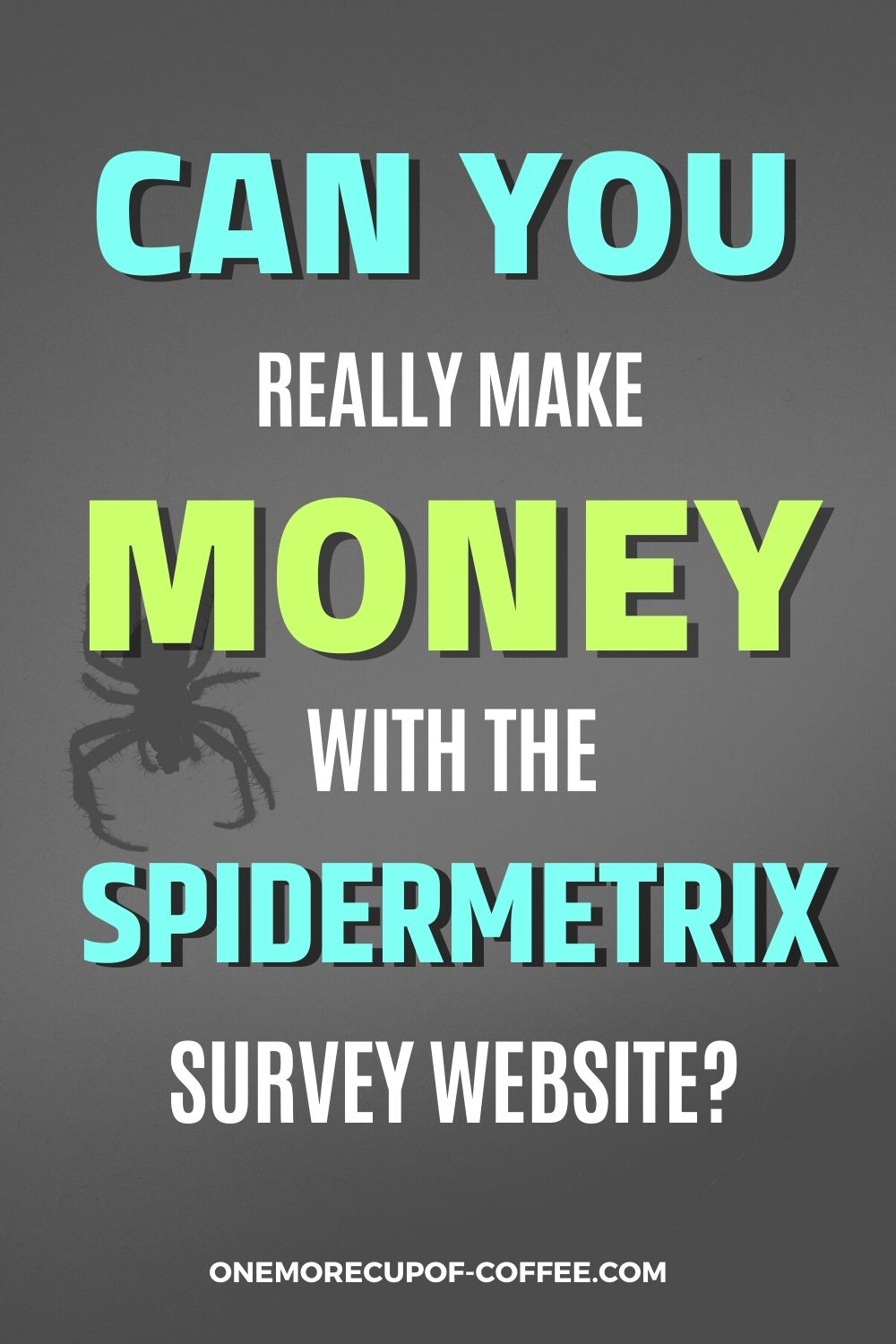 Can You Really Make Money With The SpiderMetrix Survey Website? | One ...