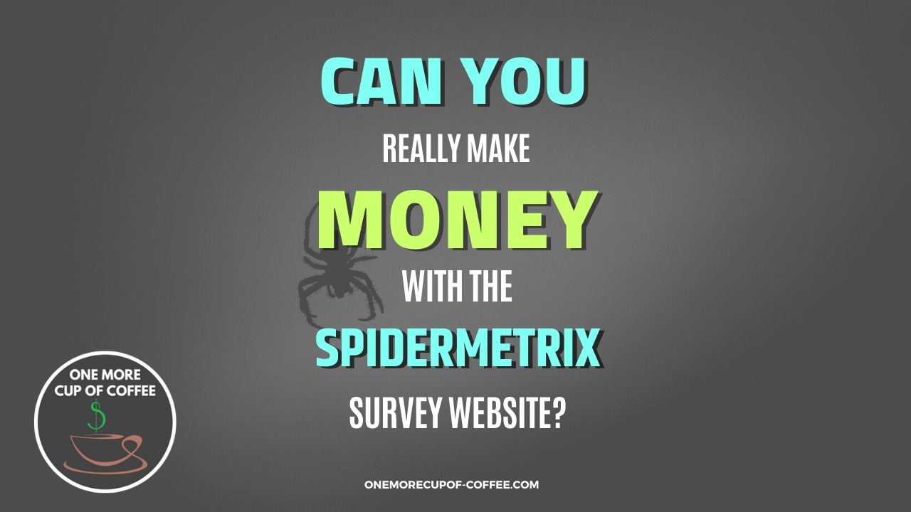Can You Really Make Money With The SpiderMetrix Survey Website? | One ...