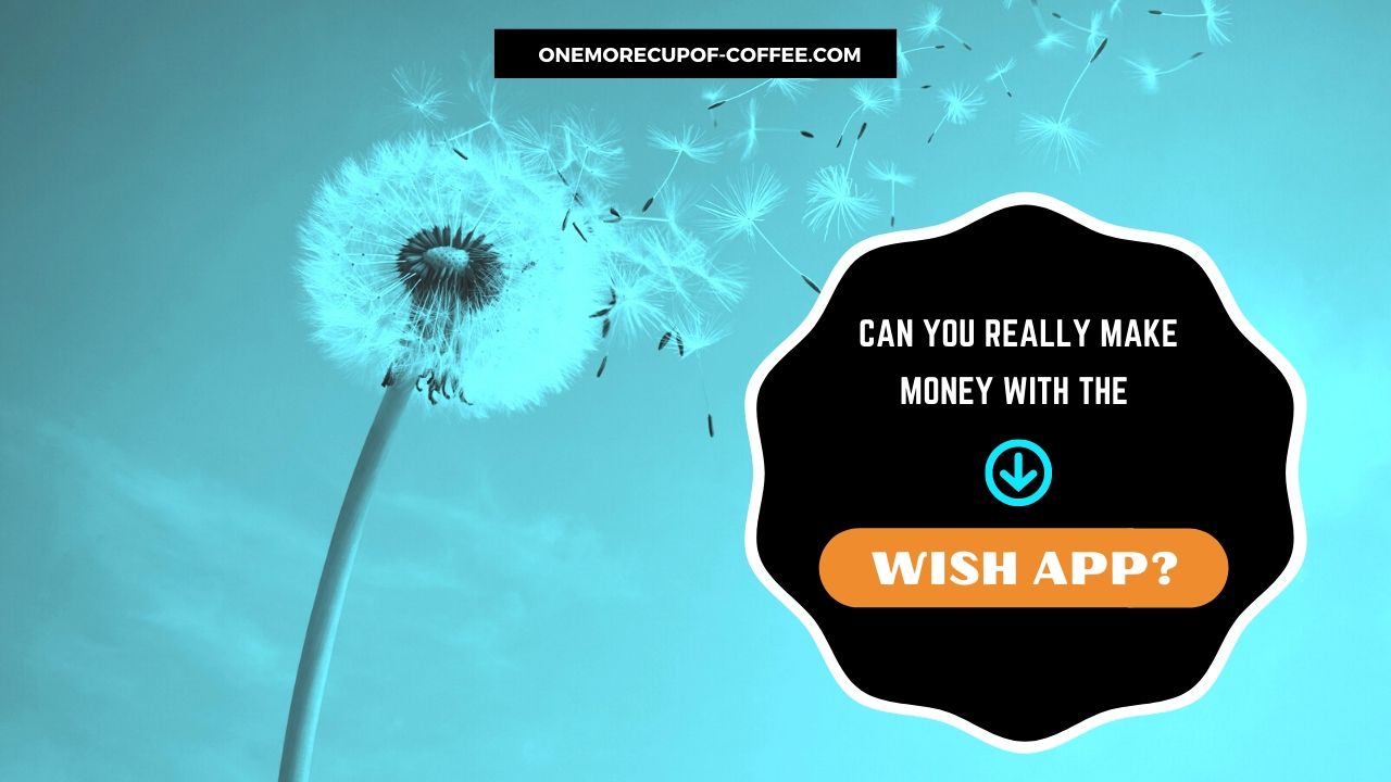 Can You Really Make Money With The Wish App? | One More Cup of Coffee