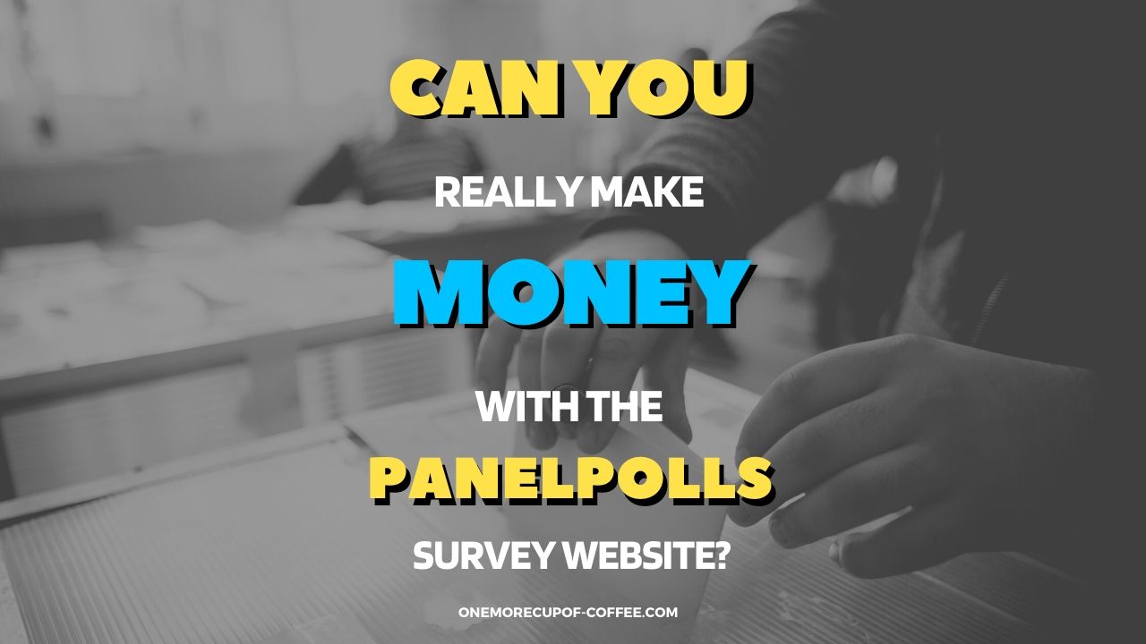 Can You Really Make Money With the PanelPolls Survey Website? | One ...