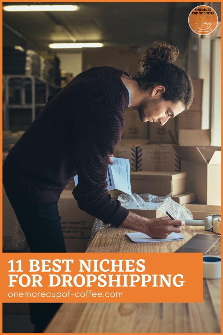 11 Best Niches For Dropshipping | One More Cup of Coffee