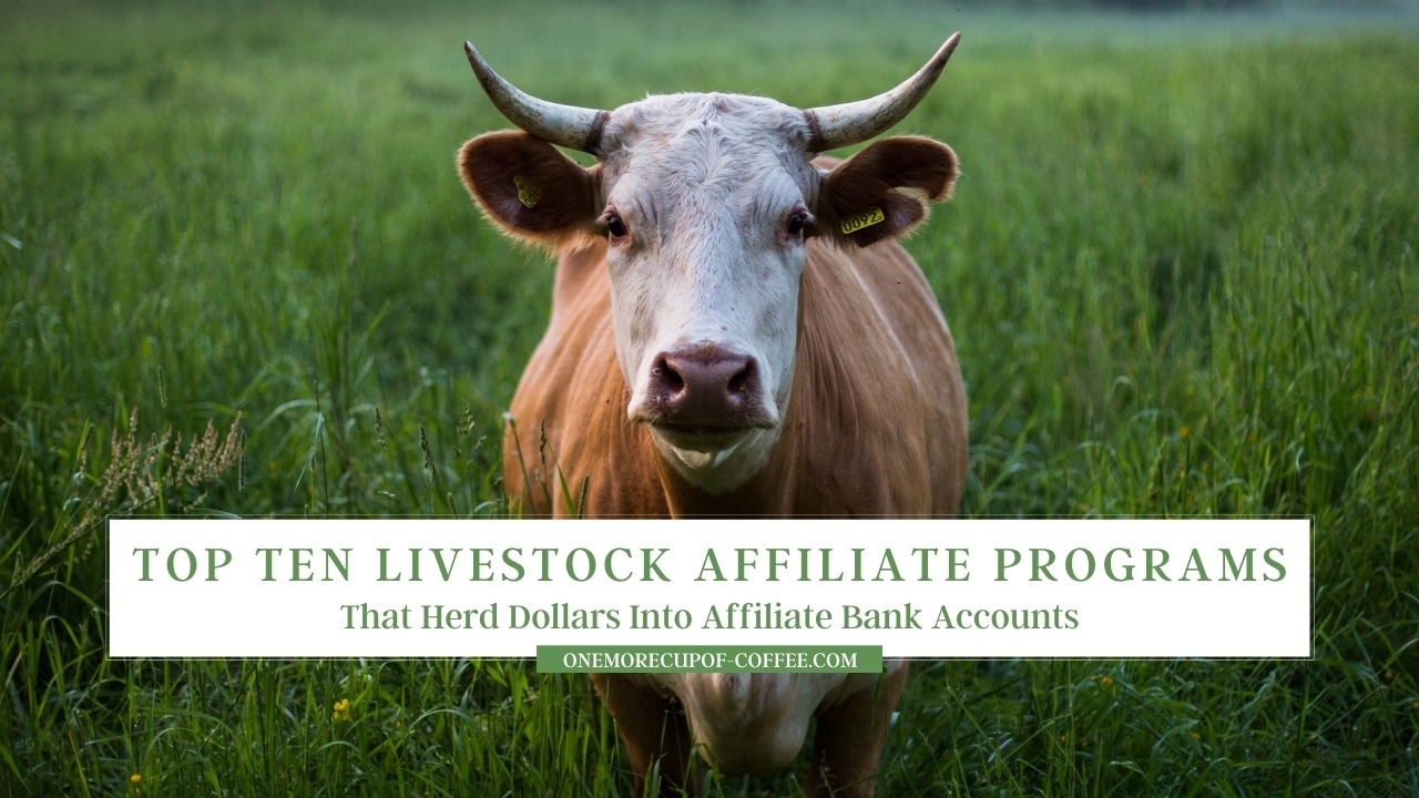 Top Ten Livestock Affiliate Programs That Herd Dollars Into Affiliate ...