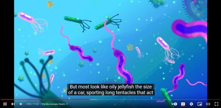 The 11 Best Science YouTube Channels to Expand Your Mind | One More Cup ...