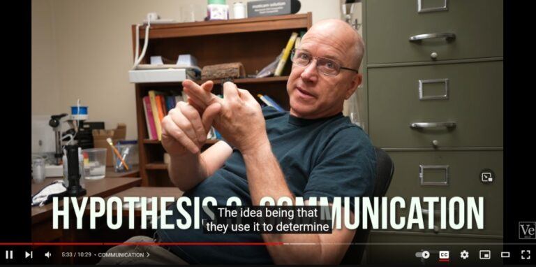 The 11 Best Science YouTube Channels to Expand Your Mind | One More Cup ...